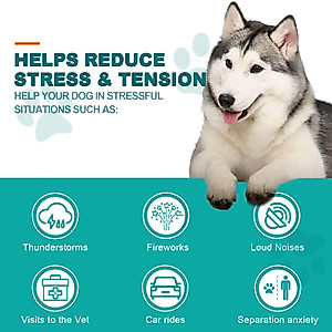 Bieyoc Calming Chews for Dogs, Pet Care Calming Chews for Dogs, Natural Ingredients Calming Dog Treats (Chicken)