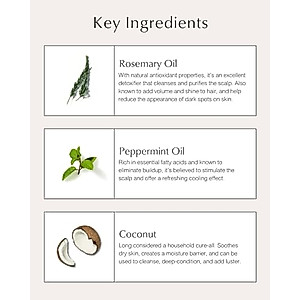 Shampoo for Fine Hair with Rosemary & Peppermint, 16 Fl Oz