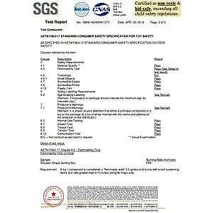 Bimi Boo Wooden Shape Sorter Toy for Babies - Classic Montessori Shape Sorter with Noise-Reducing Silicone Pad - Perfect Sorting Toy for Toddlers (8 Various Blocks, 1 Box, 1 Silicone Pad)