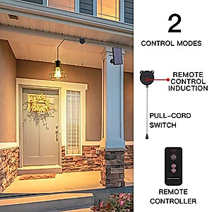 GOSUNWEY Solar Pendant Lights Outdoor Indoor with Remote, Chicken Coop Lights Solar Powered Shed Light with ON Off Switch,Solar Indoor Lights for House Garage Greenhouse Patio Barn Storage