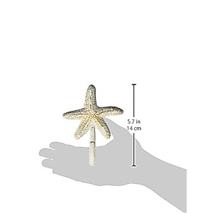 Park Designs Starfish Single Hook