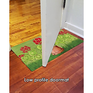 Toland Home Garden 800050 Potted Frog Spring Door Mat 18x30 Inch Summer Outdoor Doormat for Entryway Indoor Entrance