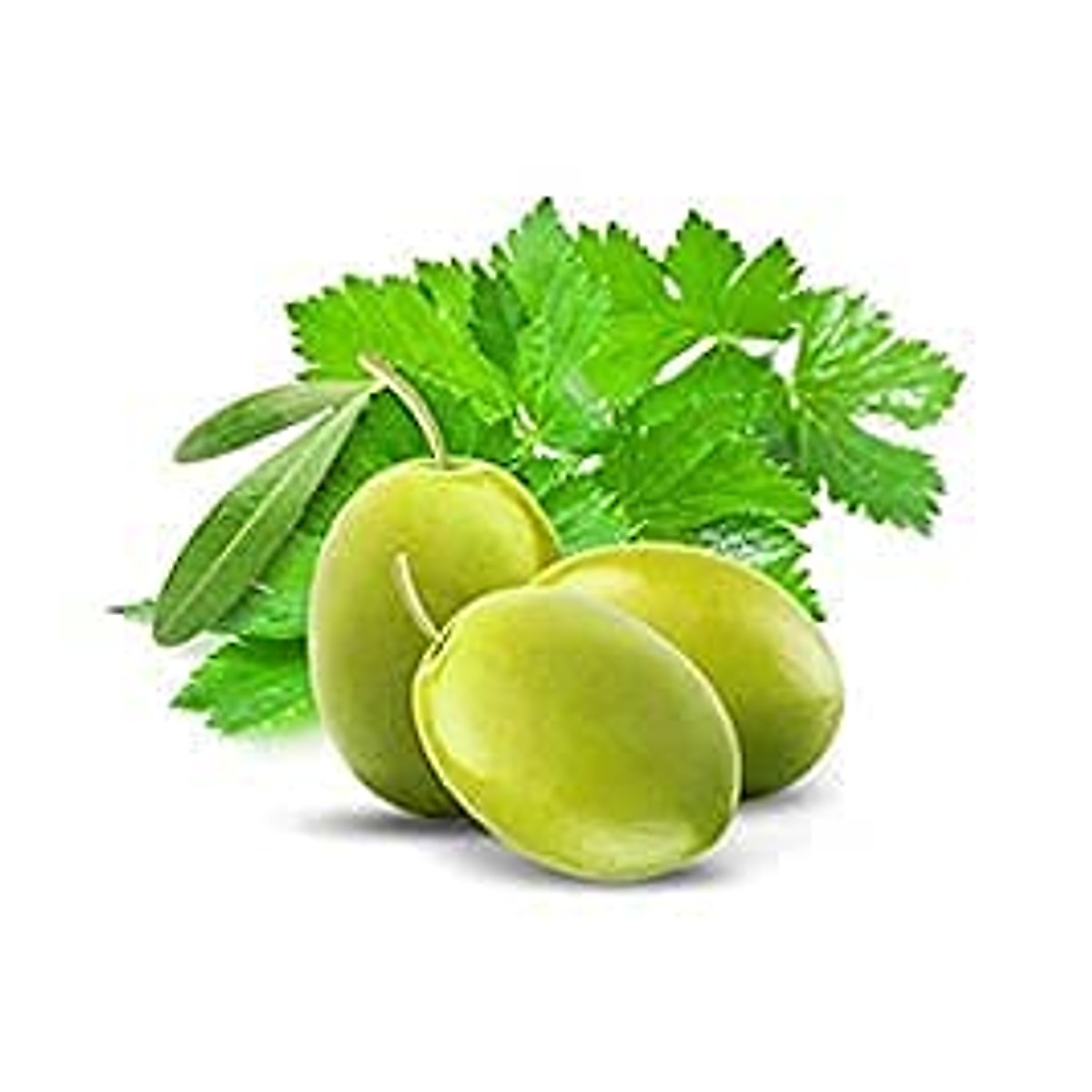 Fruits & Passion [Cucina - Coriander & Olive Tree Dish Soap Refill, All Natural Dish Detergent Liquid Refill, Vegan & Cruelty-Free, Clear Dish Soap Liquid Refill (33.8 fl oz)