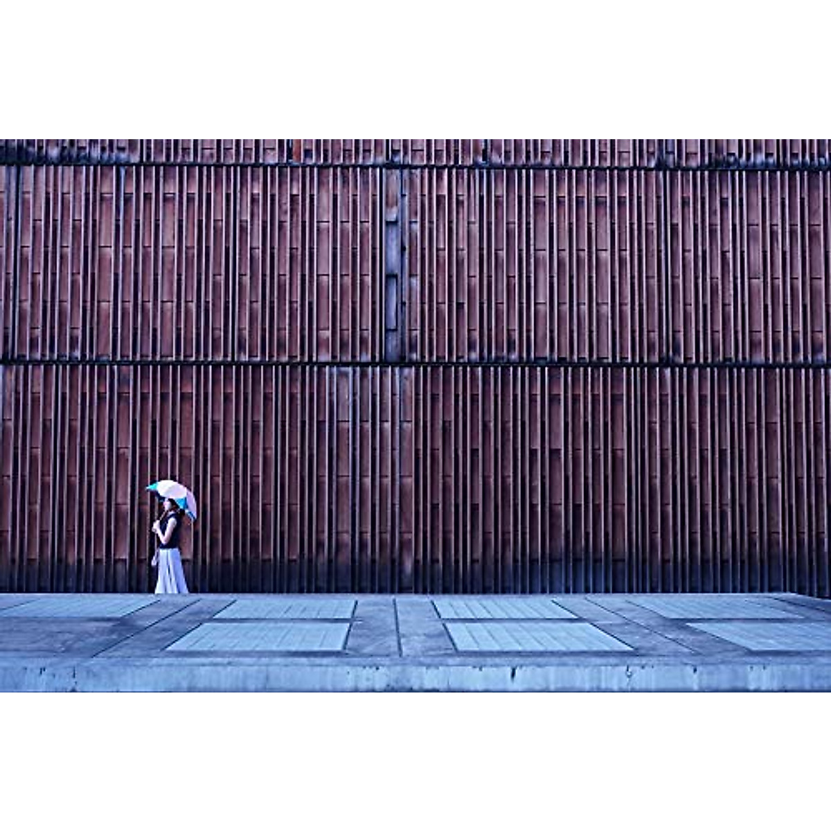 Sony Alpha A6100 Mirrorless Camera with 16-50mm Zoom Lens, Black (ILCE6100L/B)