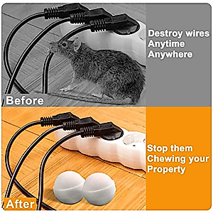 PESKEGIS Pack of 10 Squirrel Repellent, Squirrel Deterrent Peppermint Oil, Chipmunk Repellent Outdoor to Repels Squirrel Rats Mouse, Keep Rodents Out of Garden Engines