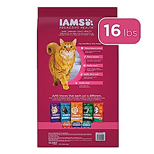 IAMS PROACTIVE HEALTH Adult Urinary Tract Healthy Dry Cat Food with Chicken Cat Kibble, 16 lb. Bag
