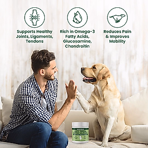 Green Lipped Mussels for Dogs & Cats - Premium Joint Supplement Powder for HIPS, Joints, and Muscles (75 Grams, Up to 250 Servings)