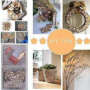 LAZACA Small Wood Slices Crafts Cookies Log Rounds 100Pcs 1.5-2.5cm Rustic Wedding Centerpieces Ornaments DIY, Unfinished Natural Wood Pieces