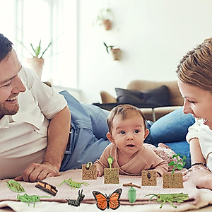 12PCS Life Cycle Figurines Toy Set of Butterflies Grasshoppers and Plants Figures Preschool Toys Kit Science and Educational Auxiliary Toys Cake Toppers Party Favors for Kids Toddlers Boys and Girs