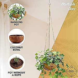 BRAINY ESSENTIALS Natural 100% Hanging Real Coconut Pot Planter - Perfect for Indoor and Outdoor Decoration, Bonsai, Flowers, Herbs - Handcrafted 100% Natural, Made of Real Coconut Bowls