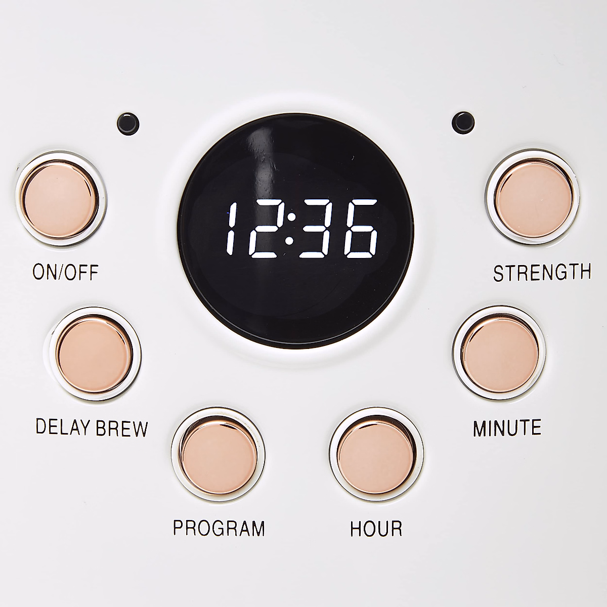 HADEN 75092 Heritage Innovative 12 Cup Capacity Programmable Vintage Retro Home Countertop Coffee Maker Machine with Glass Carafe, Ivory/Copper