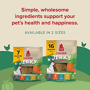 PLATO Pet Treats Air Dried, Real Meat, Chicken Jerky with Pumpkin Dog Treats, Made in The USA, Grain Free, 16oz