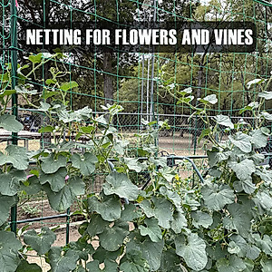 HOECMRHP Trellis Netting, Heavy-Duty Garden Grow Netting for Climbing Plants, Outdoor Indoor Net for Cucumber, Tomatoes, Beans, Clematis, Fruits & Vegetables, Climbing Vining Plants (8.2' x 6.6'Ft)