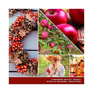 Yankee Candle Autumn Wreath Car Jar Ultimate Air Freshener, Food & Spice Scent