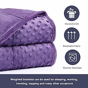 Alomidds Weighted Blanket, Luxury Velvet Weighted Blankets for Kids,Warm and Breathable Soft and Comfort Minky, Cute Heavy Blanket with Premium Glass Beads (41"x60" 7LBS, Purple)