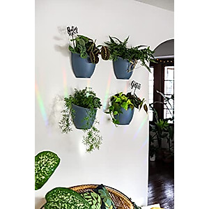 The HC Companies 8 Inch Garden Wall Planter - Plastic Hanging Plant Pot for Indoor Outdoor Flowers, Herbs, Slate Blue