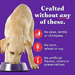 Halo Elevate Wet Dog Food, Kettle Cooked Chunky Healthy Grains Duck & Beef Stew with Carrots, White Potatoes & Brown Rice, 12.7oz (Pack of 6)