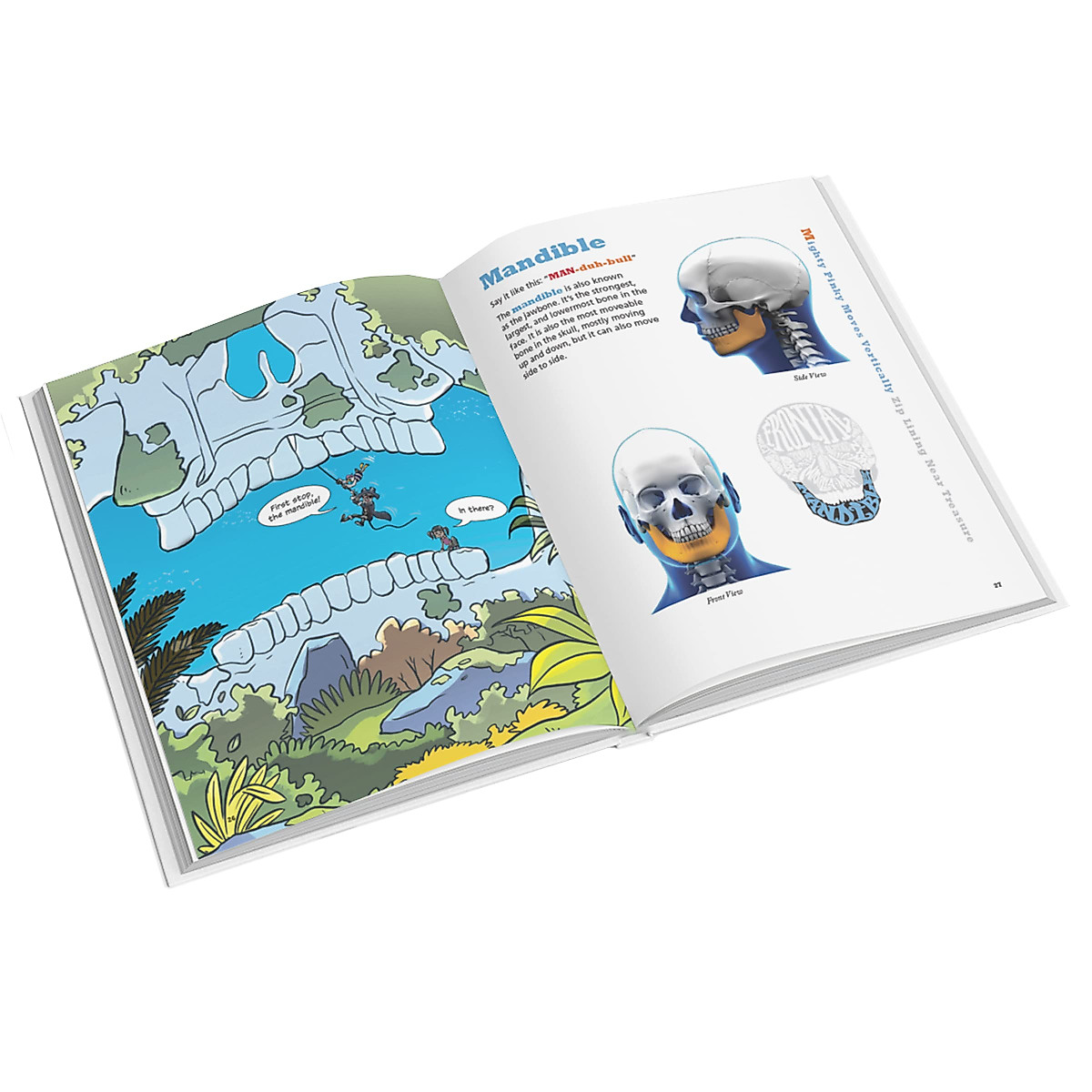 Know Yourself - Bones of the Head, Face, and Neck: Book 4, Human Anatomy for Kids, Best Interactive Activity Workbook to Teach the Skeletal System of the Human Body, Ages 8-12