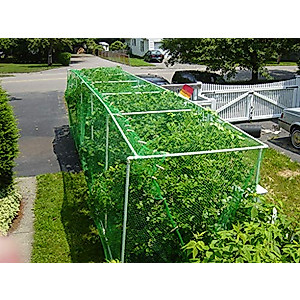 HSelar Best Bird Netting - Protect Plants and Fruit Trees from Birds and Wildlife – 13.12Ft x 49.2Ft Bird Netting with 50 Pcs Nylon Cable Ties - Reusable Instantly (Large Size)