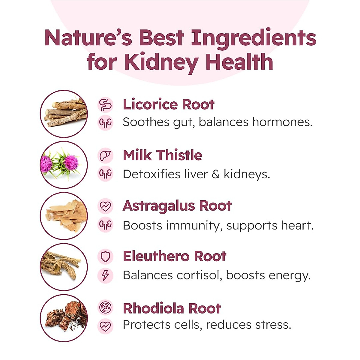 Milk Thistle for Dogs - Liver Support for Dogs - Milk Thistle for Cats - Milk Thistle Liquid - Dog Liver Supplement - Hepato Support for Dogs - Lower Liver Enzymes Naturally