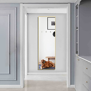 OBIOZZ Bedroom Floor Standing Mirror Full Length Mirror 60 × 16 Inches, Gold Standing Body Mirror, Floor Mirror, Standing Hanging or Leaning