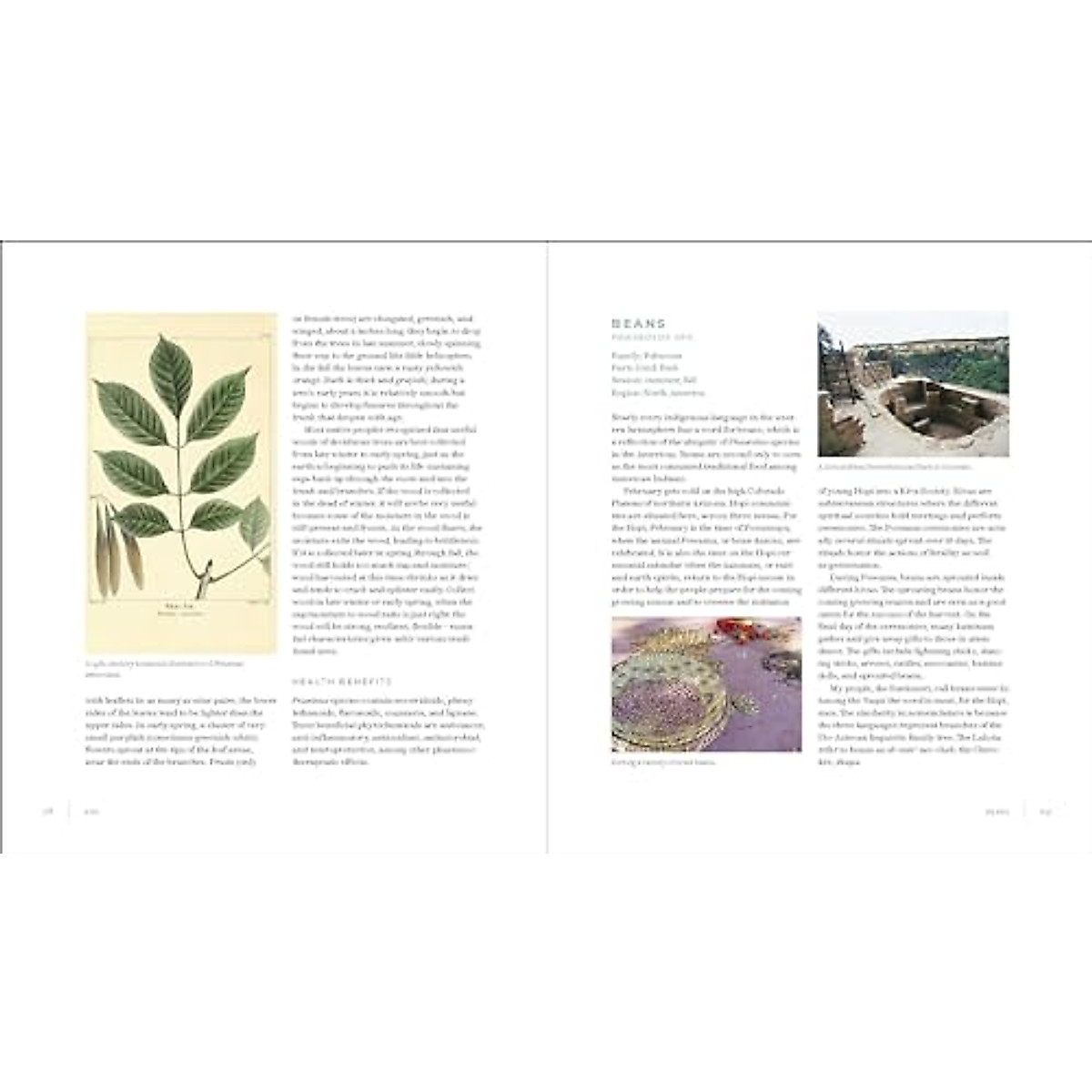 Iwigara: American Indian Ethnobotanical Traditions and Science