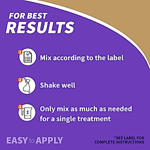 CAPTAIN JACK DEADBUG16OZ