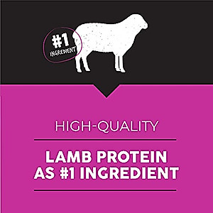 Ultimates Lamb Meal & Rice Dry Dog Food (28 lb. Bag)