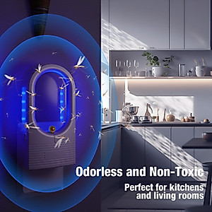 Fruit Fly Traps for Indoors, Plug in Fly Trap Indoor Bug Catcher with Double Sided Glue Card, Flying Insect Trap Gnat Traps for Mosquito, Flies, Fruit Flies, Moths, Gnats (1 Device + 5 Refills)