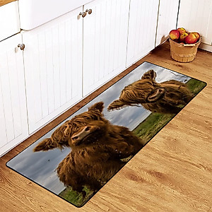 TsyTma Cute Wild Highland Cows Kitchen Rugs Floor Mats Washable Non-Slip Bathroom Rug Runner Kitchen mats for Floor Laundry Room Mat Western Kitchen Decor 39x20 Inch