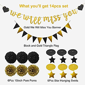 Farewell Party Decorations Supplies Kit - 14Pcs - We Will Miss You Banner, Triangle Flag, 6Pcs Star Swirl, 6Pcs Pom - Great for Retirement Farewell Going Away Job Change Party Decorations(Black Gold)