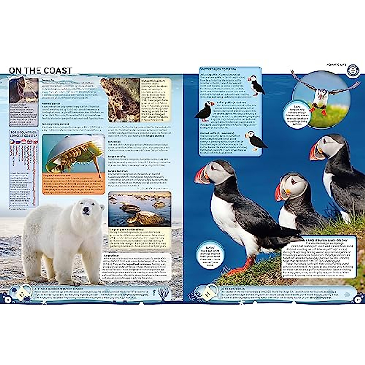 Guinness World Records 2024