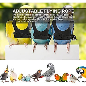 Pet Parrot Bird Harness and Leash, Adjustable Bird Harness Leash for Trainning, Black Fashion Vest, Suitable for Cockatiel,Parrot,Parakeets Conures, Macaws, Parrots, Love Birds，Finches (S)