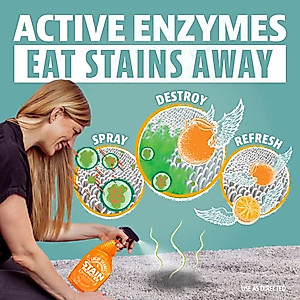 Angry Orange Stain Remover - 32oz Enzyme Pet Cleaner - Dog & Cat Urine Destroyer and Stain Remover - Citrus Spray Cleaning Solution - Puppy Supplies