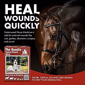 Topical Wound Spray Kit - 16 oz Refill Bottle w/ Baking Powder, Funnel, Spray Trigger, & Shaker - No Sting Antiseptic Spray for Wounds for Faster Healing - Wound Care for Equine and Other Farm Animals