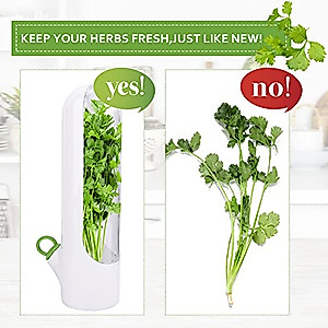 Herb Keeper Set, Herb Saver for Refrigerator, Herb Scissors, Pack Herb Stripper Herb Saver Pod Keeps Greens Fresh for 2-3 Weeks(size:2pc)