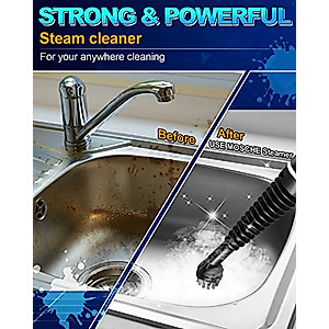 Handheld Pressurized Steam Cleaner with 11-Piece Accessory Set, Multi-Surface Steamer for Cleaning, All Natural Steam Cleaner for Home, Upholstery, Car, Floor, Grout and Tile