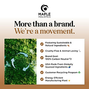 Hair Conditioner for Damaged Dry Hair - Silk Protein Conditioner for Dry Hair Frizz Control & Shine - Hydrating Conditioner for Curly Hair with Argan Oil and Hair Moisturizer for Dry Hair Care