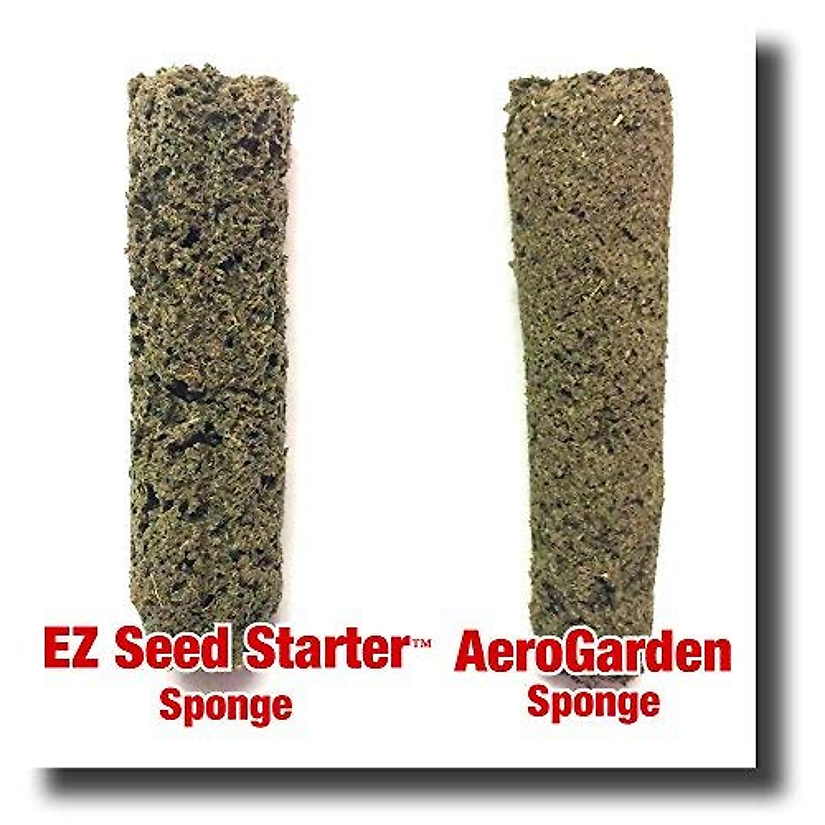 EZ-gro Heirloom Salad Greens Seed Pod Kit (3 Pod) - Compatible with Aerogarden Seed Pod Kit - Pre-Seeded Seed Pods for Hydroponic Garden - 4 oz Hydroponic Nutrients for Smart Garden