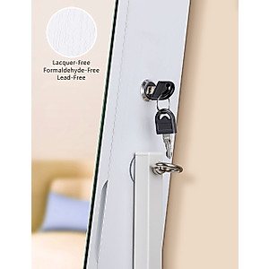 Nicetree 8 LEDs Standing Jewelry Mirror Cabinet, Full Length Mirror and Jewelry Storage All in One, Superior Storage Capacity Jewelry Armoire Stand Up Mirror (White)