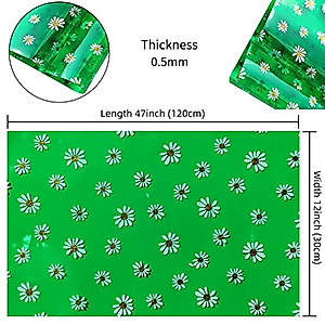 HYANG Bellis Perennis Chrysanthemum Green Transparent PVC Super Clear Holographic Vinyl Faux Leather Sheets 1 Roll 12" x 47" (30cm x 120cm) for DIY Bows Earrings Bags DIY Crafts Making