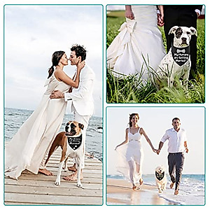 Gofshy Blank Dog Bandanas XL-2PCS, DIY Solid Black Triangle Scarf Premium Cotton Handkerchief or Bib, Personalized Design Birthday/Party Fun Idea Gift for X-Large&Large Pets