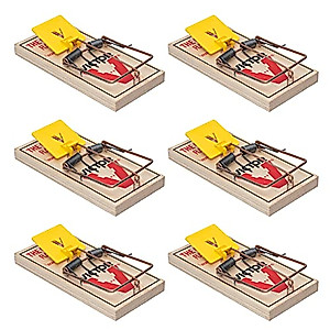 Victor M205-6 Easy Set Plastic Pedal Sustainably Sourced FSC Wood Humane Snap Rat Trap - 6 Wooden Traps