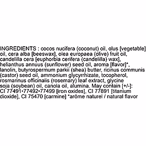 Burt's Bees Lip Balm Easter Basket Stuffers, Tinted Moisturizing Lip Care Spring Gift for Women, for Dry Lips, 100% Natural, with Shea Butter, Hibiscus (2 Pack)