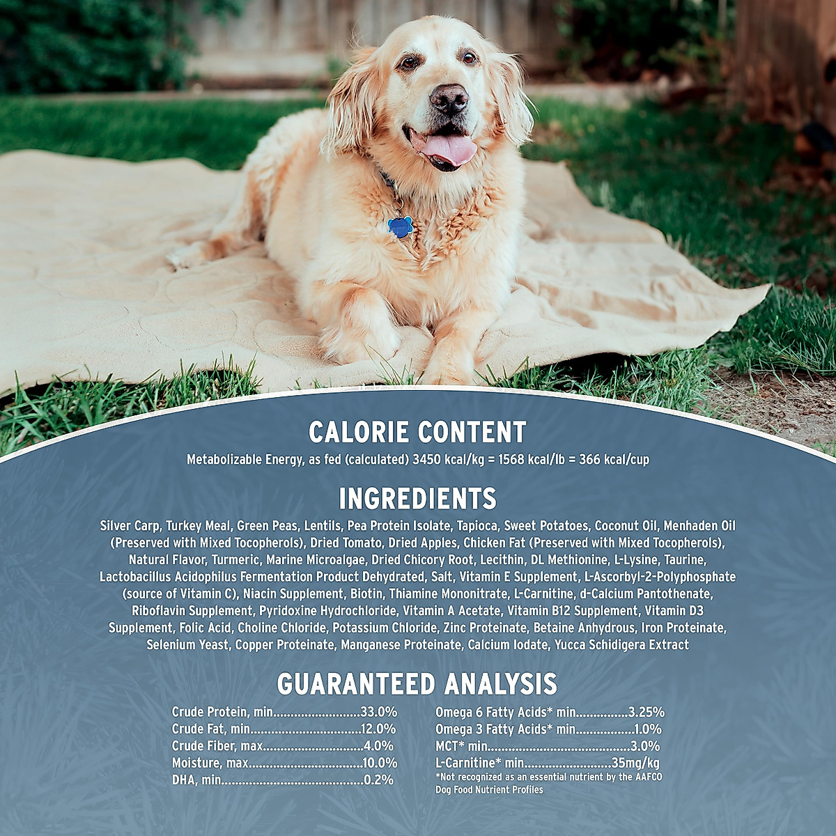 Annamaet Grain-Free Re-Juvenate Senior Formula Dry Dog Food, (Fresh Silver Carp & Turkey), 5-lb Bag, Brown