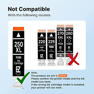 E-Z Ink (TM Compatible Ink Cartridge Replacement for Canon PGI-250XL PGI 250 XL to use with PIXMA MX922 MX722 MG5420 MG5520 MG5620 MG6320 MG6420 MG6620 MG7120 MG7520 iP8720 (Large Black) 4 Pack