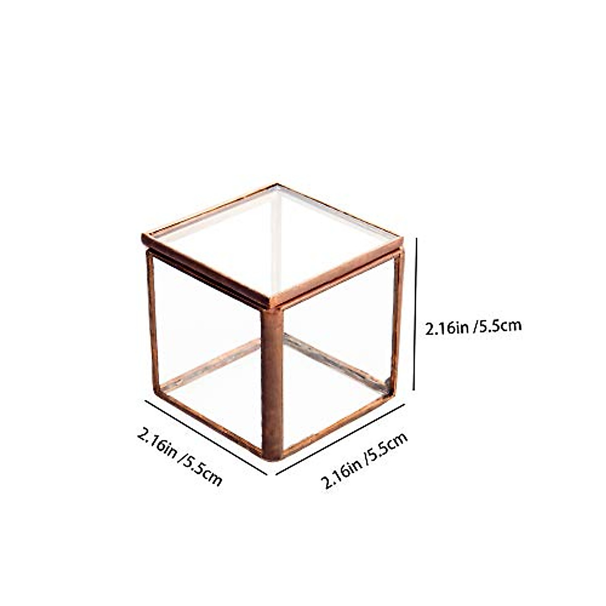 Feyarl Tiny Clear Glass Jewelry Trinket Box Ornate Rings Earrings Shadow Organizer Treasure Chest Decorative Keepsake Case with Lid for Wedding Birthday Gift (Brass)