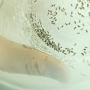 Small Animal Supplies Rep - Cal Ultra Fine &Quot;Zero% D3&Quot; 3.3Oz