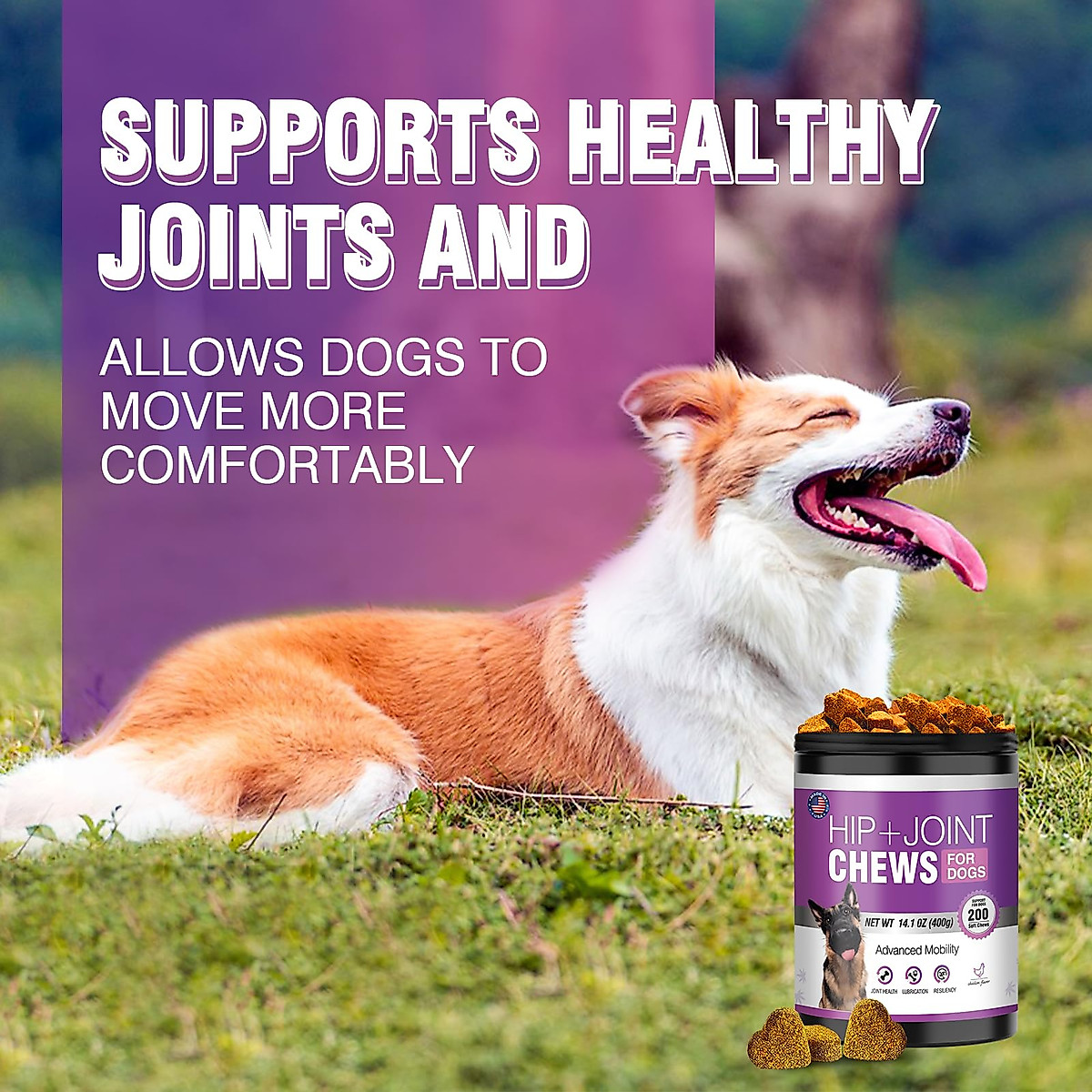 Glucosamine for Dogs 200pcs Joint Support Supplement Dog Hip and Joint Chondroitin Chews Treats with MSM Hemp Dog Joint Pain Relief Mobility Supplements Chicken Flavor Fit All Large Small Medium Breed