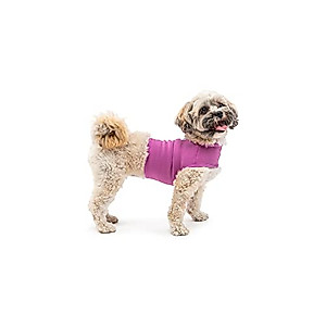 Mellow Shirt Dog Anxiety Calming Wrap, X-Small, Radiant Orchid